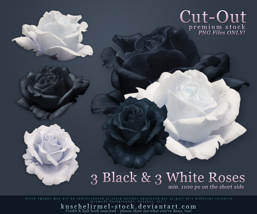 Black and White Roses Precut by kuschelirmel-stock on DeviantArt