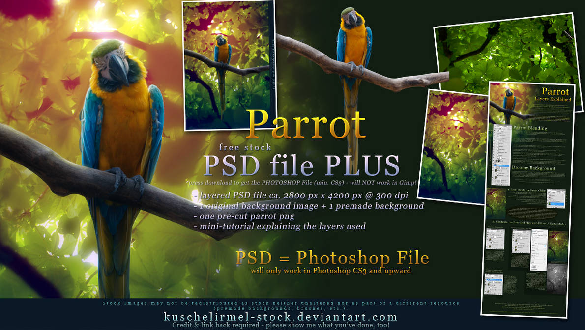 Parrot PSD Plus Premium by kuschelirmel-stock on DeviantArt