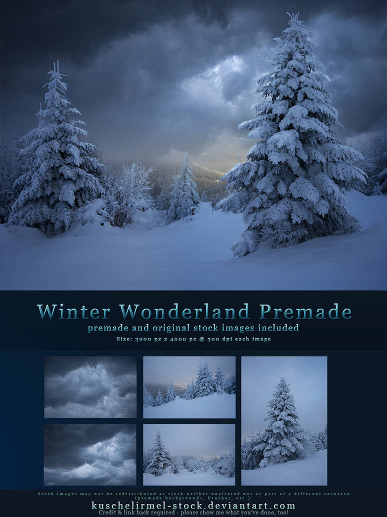 Winter Wonderland Premade with Original Stock by kuschelirmel-stock on ...