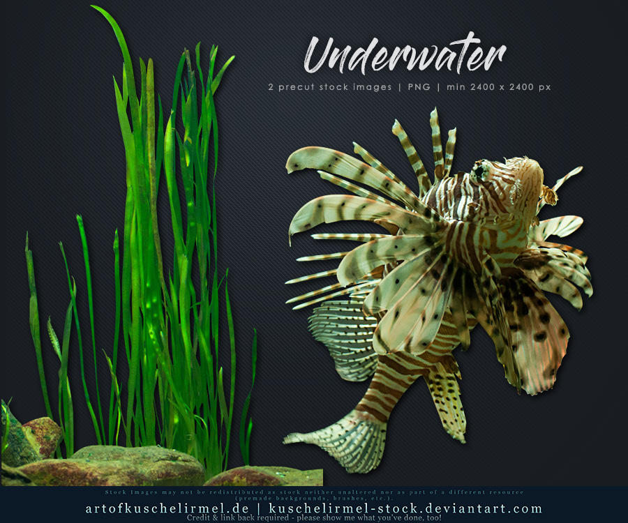 Underwater Cut-Out by kuschelirmel-stock on DeviantArt