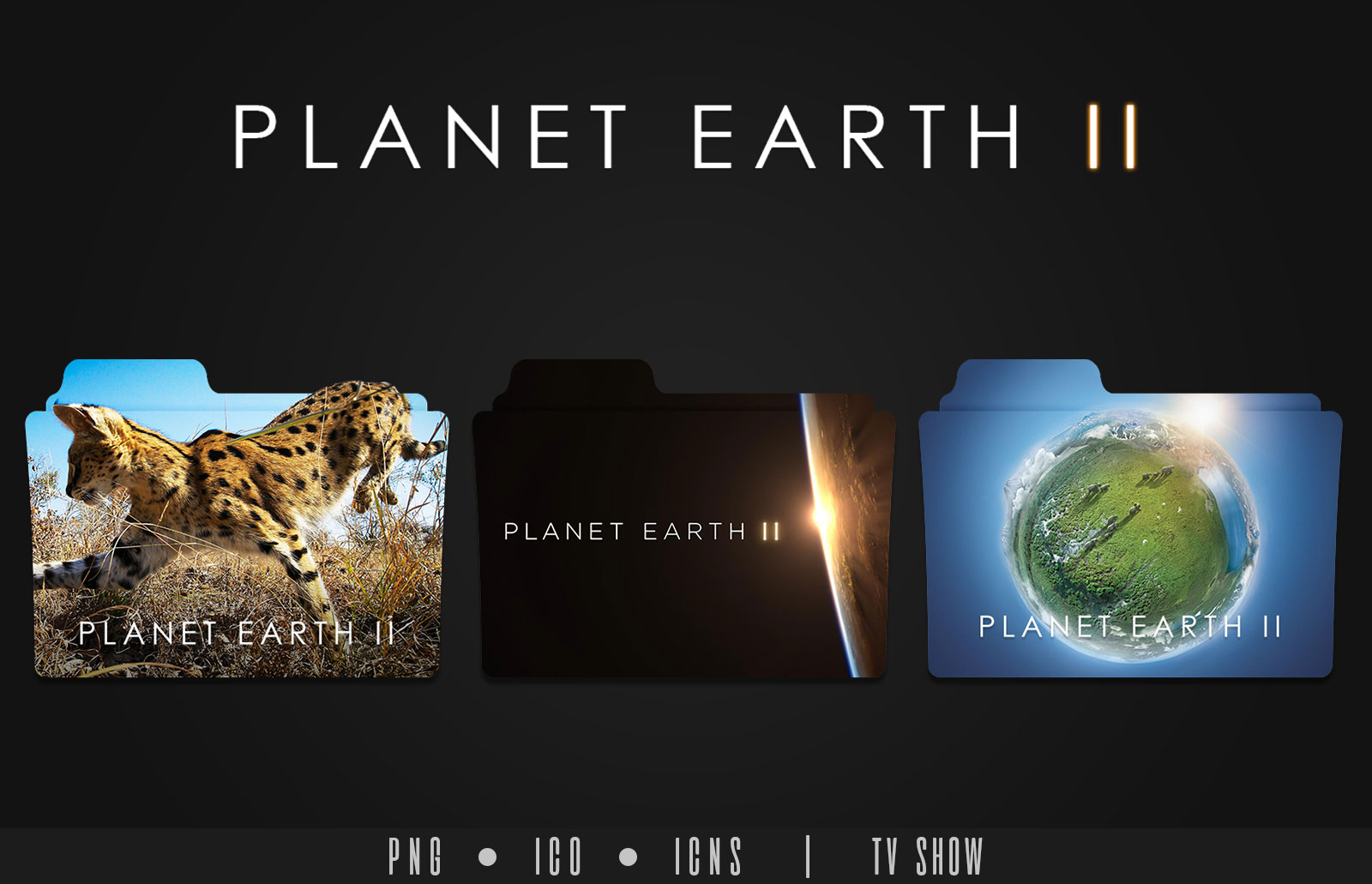 Planet Earth Show Images