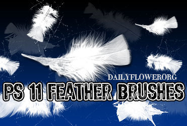 11 feather brushes by creativesplash on DeviantArt