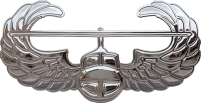 Chrome US Army Air Assault Badge by WyckedDreamz on DeviantArt
