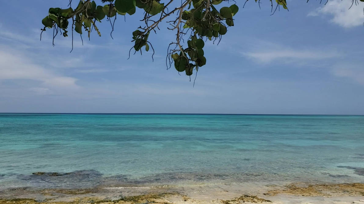 Caves Beach Low Tide by NativeStew on DeviantArt