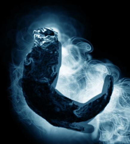 Sea Otter Patronus by Reece444 on DeviantArt