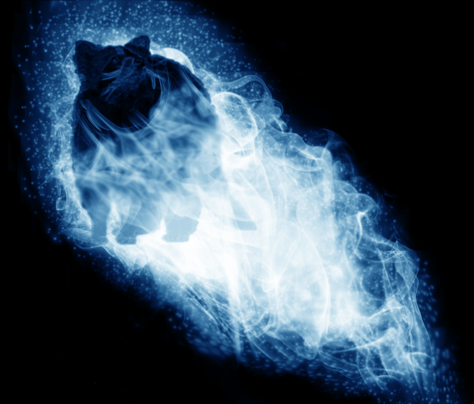 Raccoon Patronus by Reece444 on DeviantArt