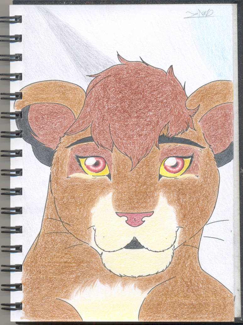 Kopa by A-M-D-DA on DeviantArt