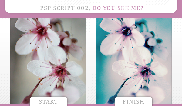 PSP Scripts on PaintShopPro-Designs - DeviantArt