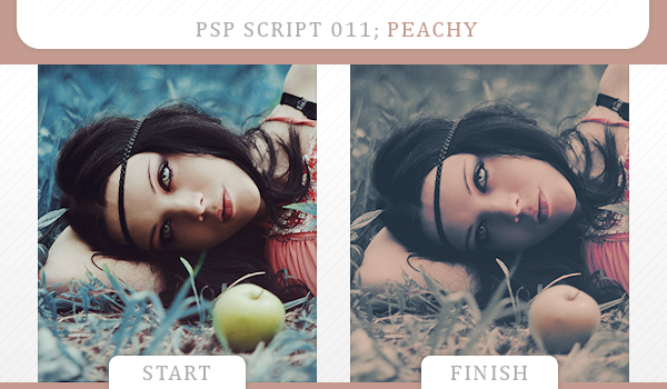 PSP Script + Layers 011 by dannielle-lee on DeviantArt