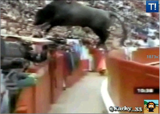 El Toro Pajarito by Mauro25FVarela on DeviantArt