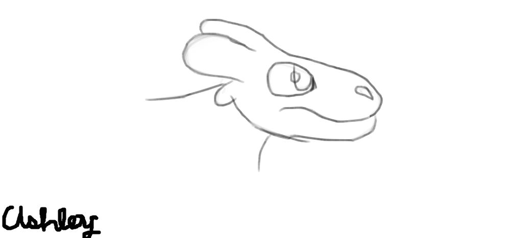 Light Fury Sketch Drawing by xXrexyandblue2019Xx on DeviantArt