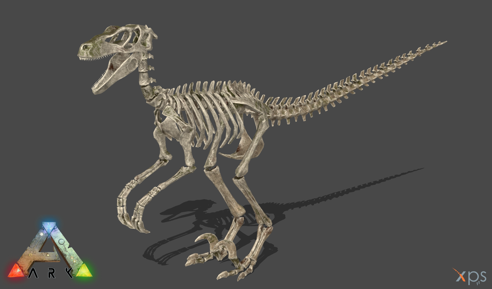[ARK:SE] Skeletal Raptor by Phelcer on DeviantArt