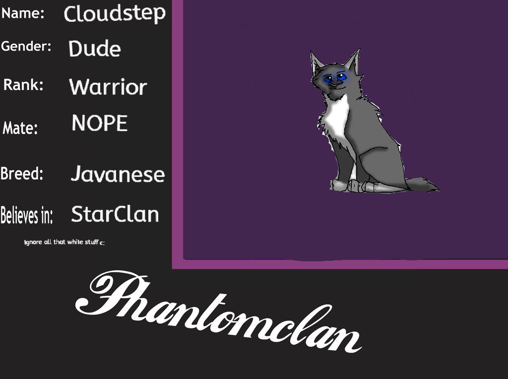 PhantomClan Reference Sheet C: by Veggiepea29 on DeviantArt