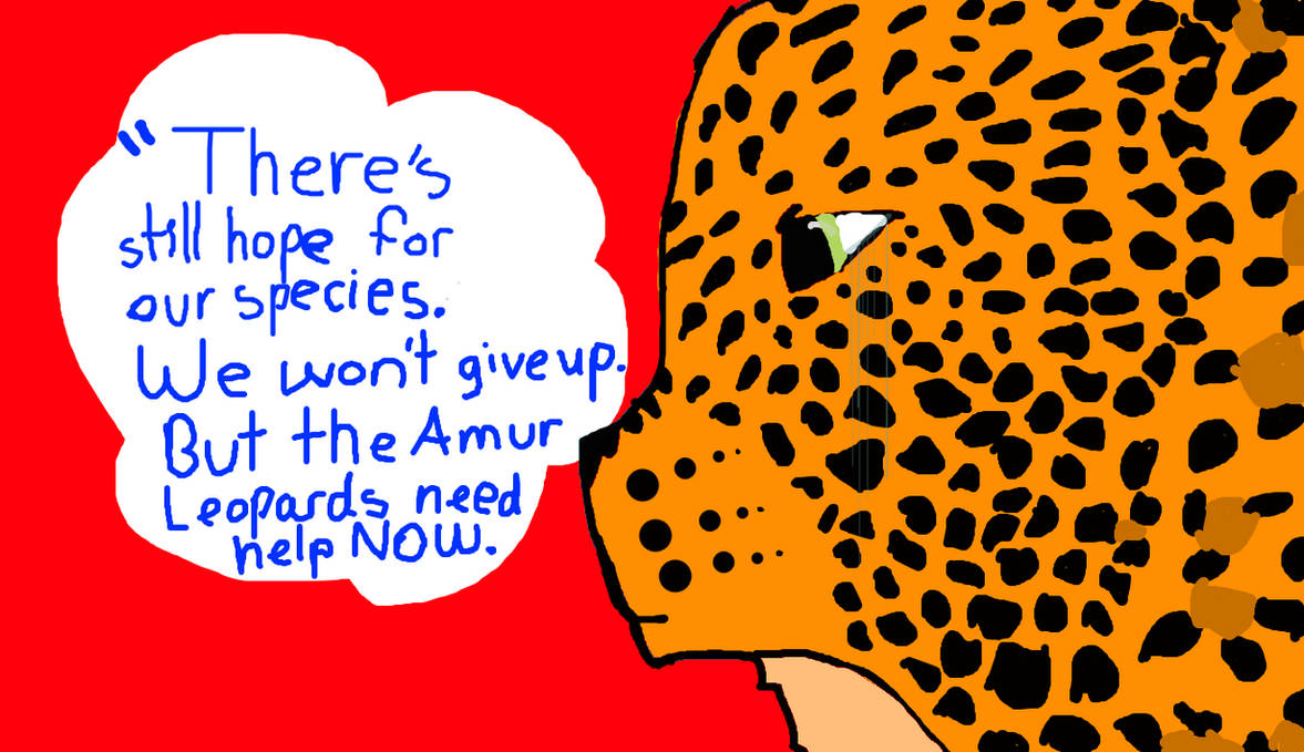 Save the Amur Leopards by lungdragontheking on DeviantArt
