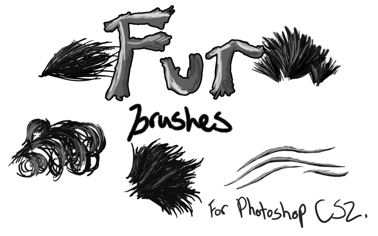 Fur Brushes for Photoshop CS2 by CelticMagician on DeviantArt