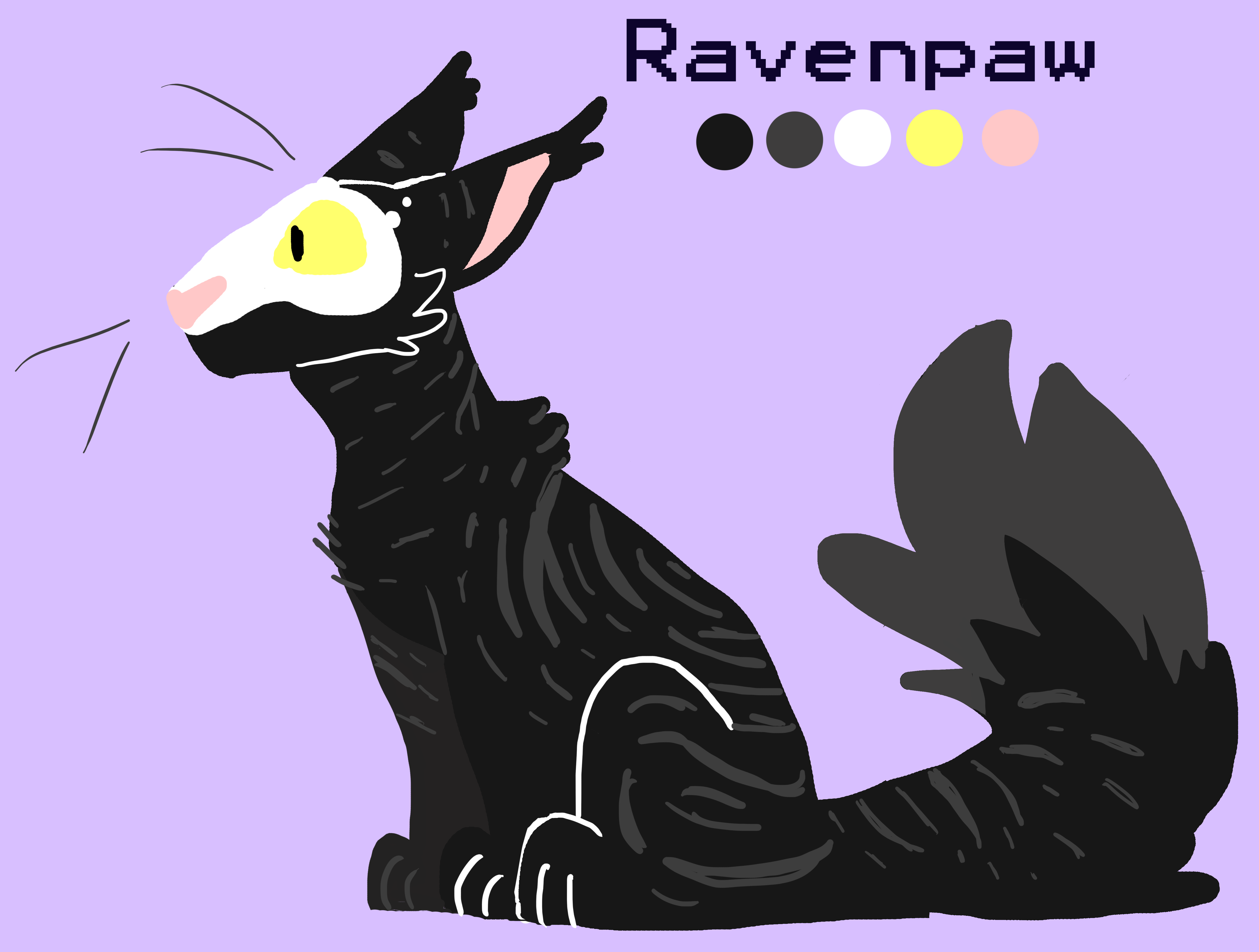 Ravenpaw Ref by lordofdragons8 on DeviantArt