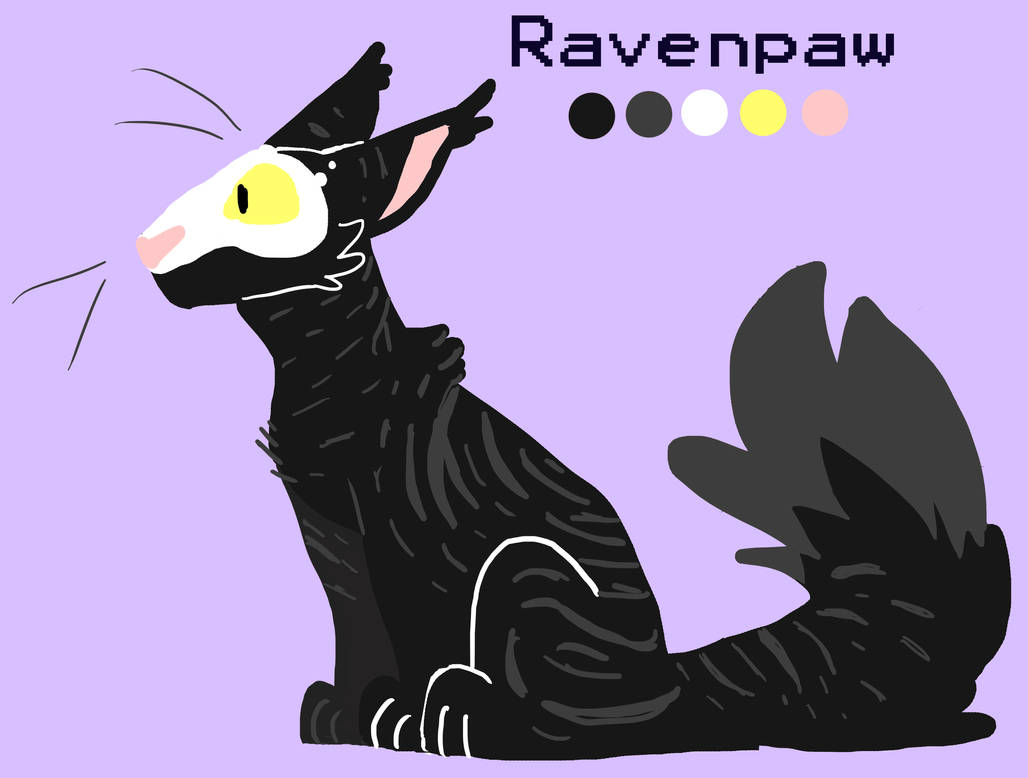 Ravenpaw Ref by lordofdragons8 on DeviantArt