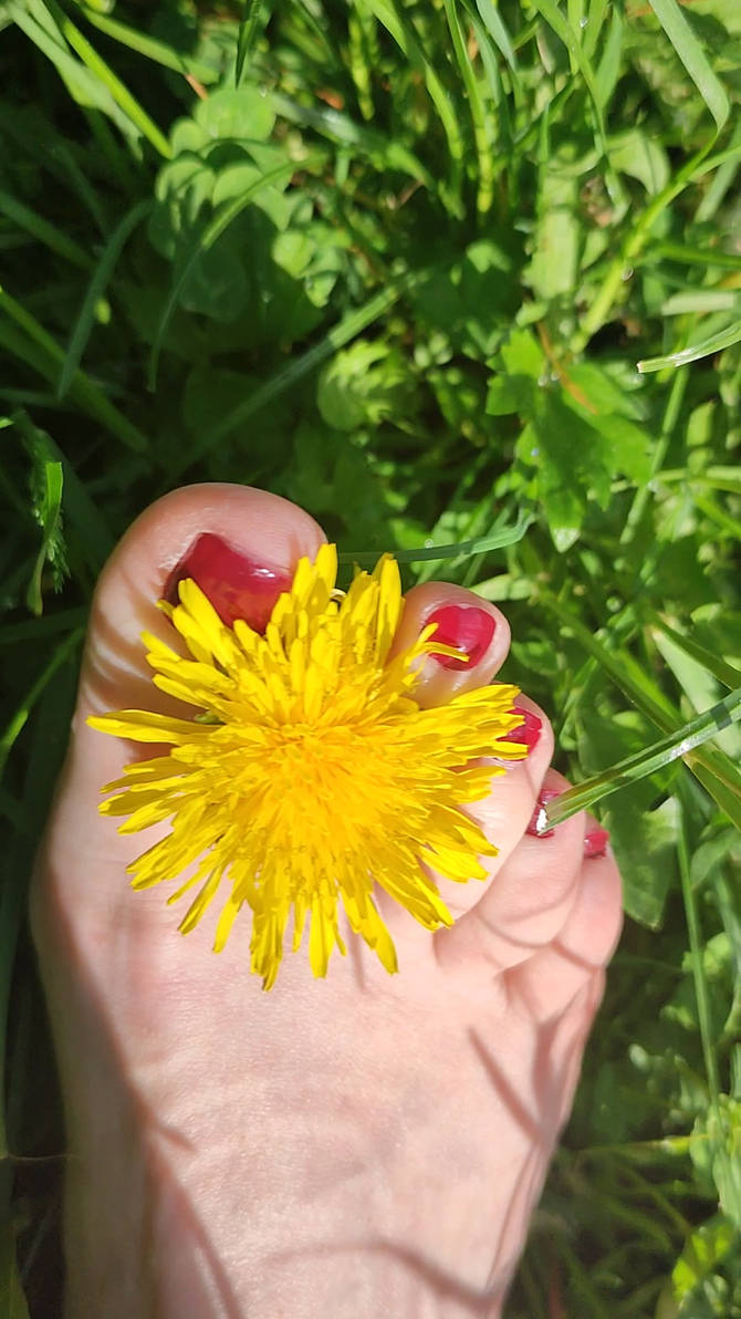 Foot With Flower by SeaLadyFeet on DeviantArt