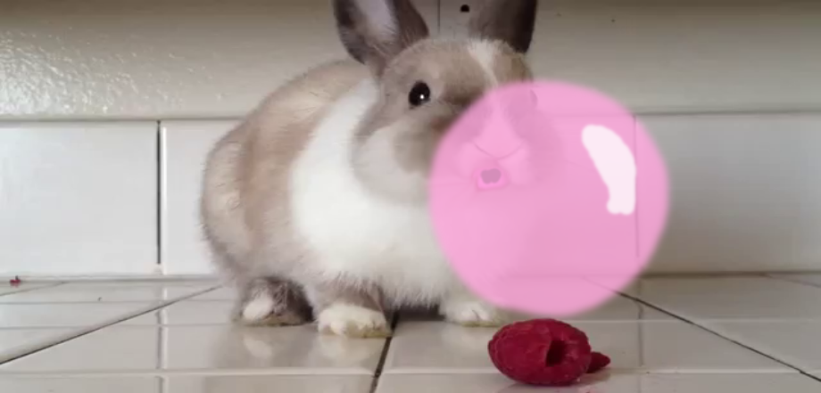 Bubble Bunny by Elizabethjones18 on DeviantArt