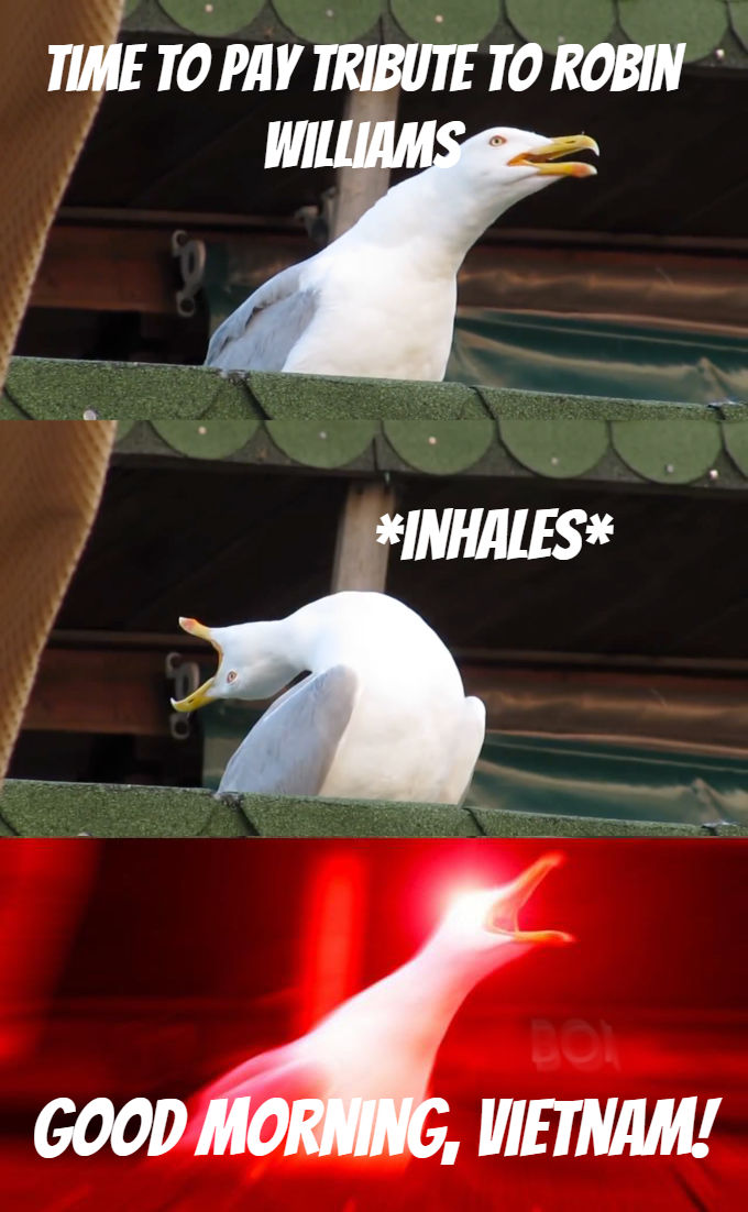 Good Morning Vietnam - Inhaling Seagull Edition by Elizabethjones18 on ...