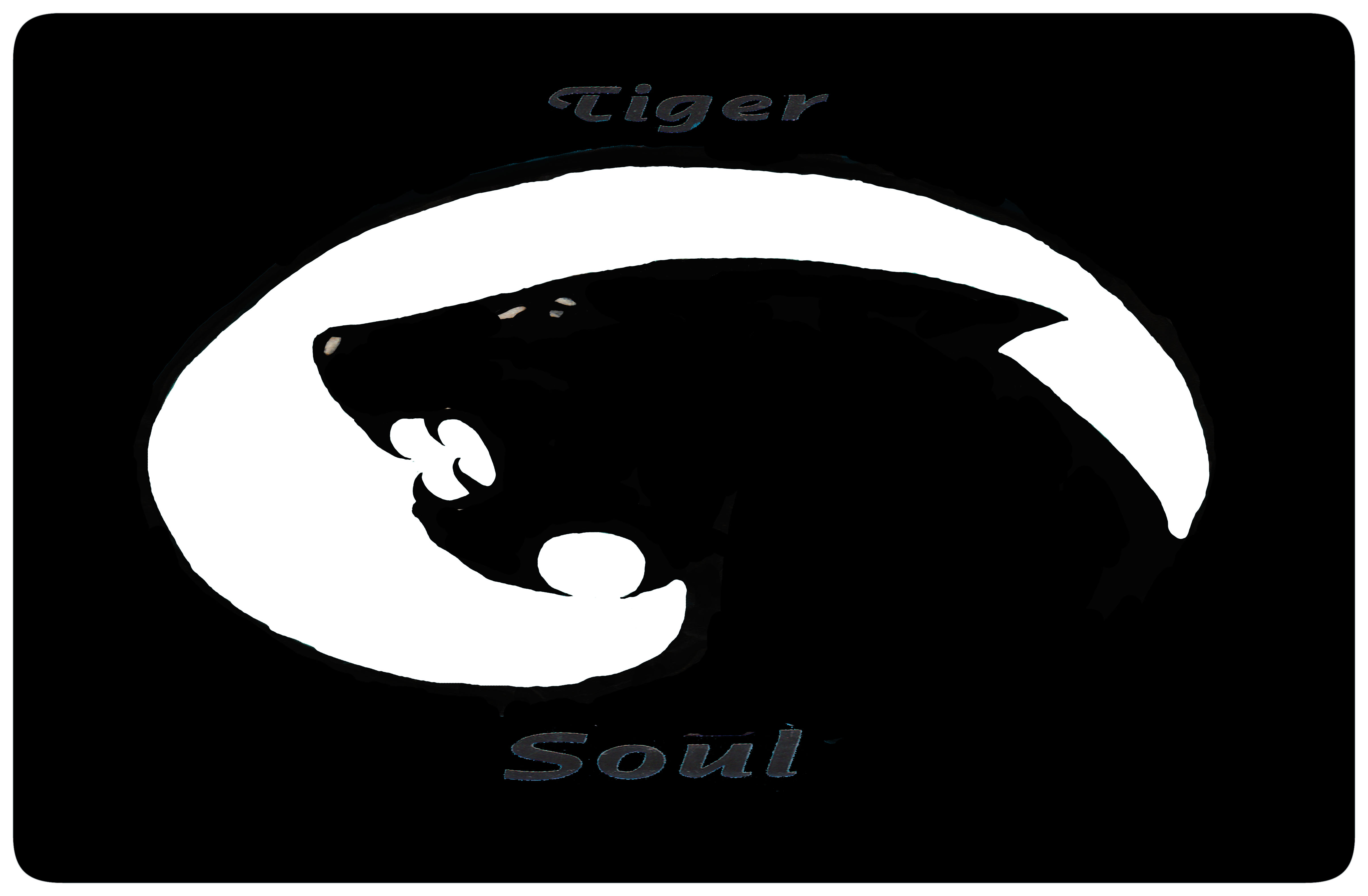 Tiger Soul Black and White by tu-face on DeviantArt