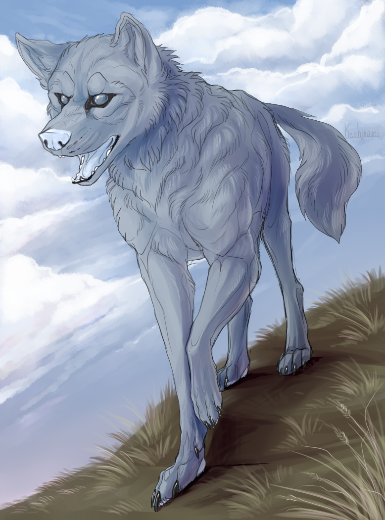 Free-line WOLF by Keshinami on DeviantArt