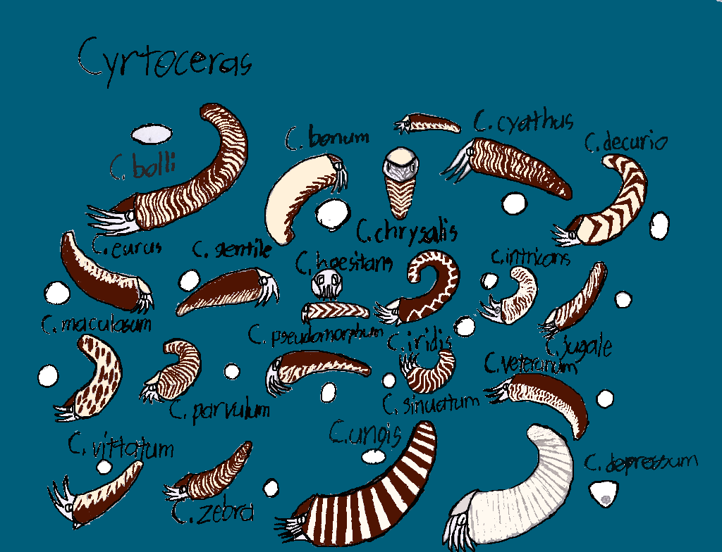 Cyrtoceras Color Markings 2 by Pr0teusUnbound on DeviantArt
