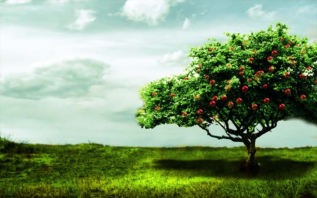 Heavenly Tree by tariqramad on DeviantArt