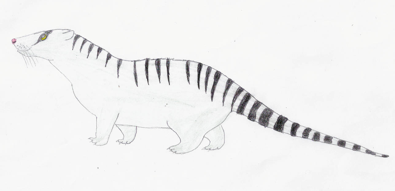 Repenomamus by AlexornisAntecedens on DeviantArt