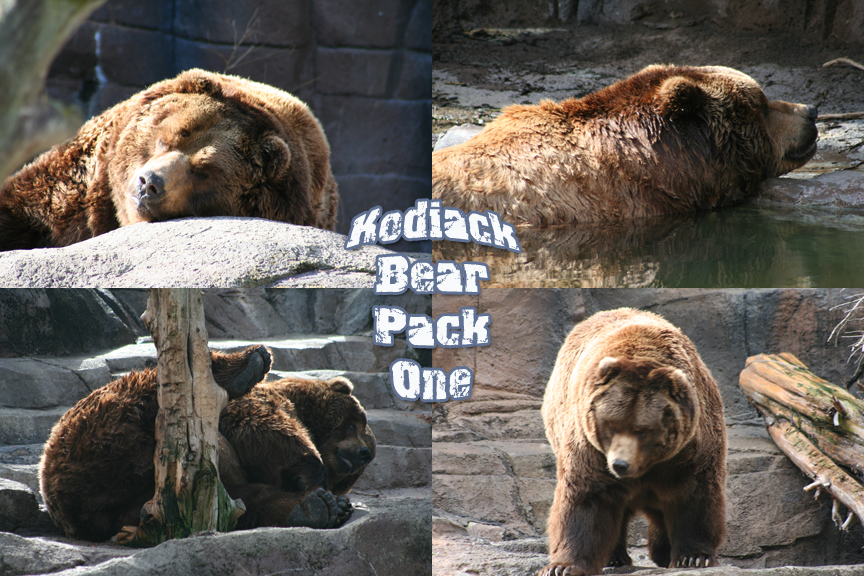 Kodiack Bear Pack - 1 by Seductive-Stock on DeviantArt