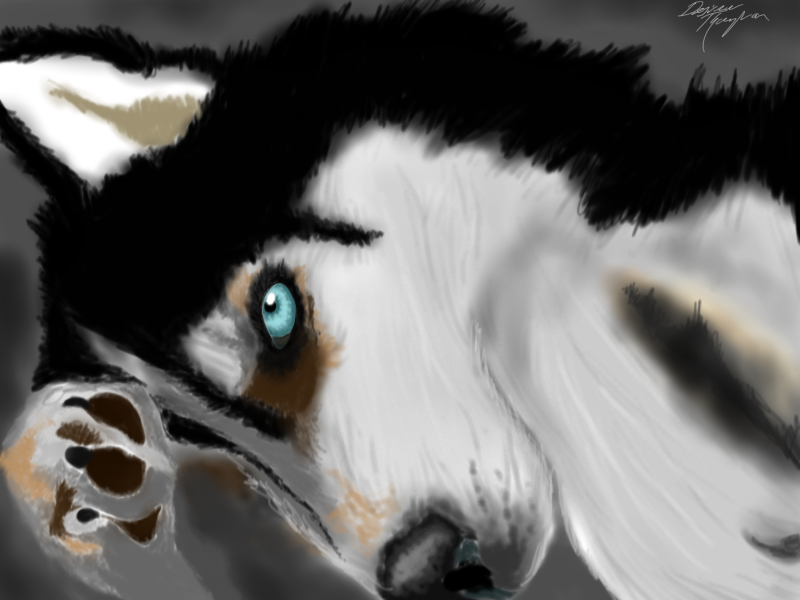 Doge by Nintenthong on DeviantArt