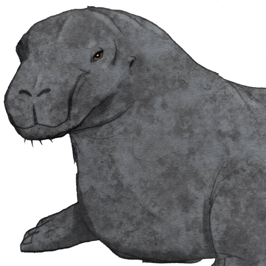 Maiacetus by Evan4610 on DeviantArt