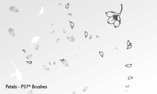 petals by screentones on DeviantArt