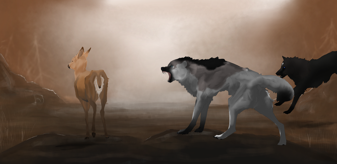 Tracking by Pokadis on DeviantArt