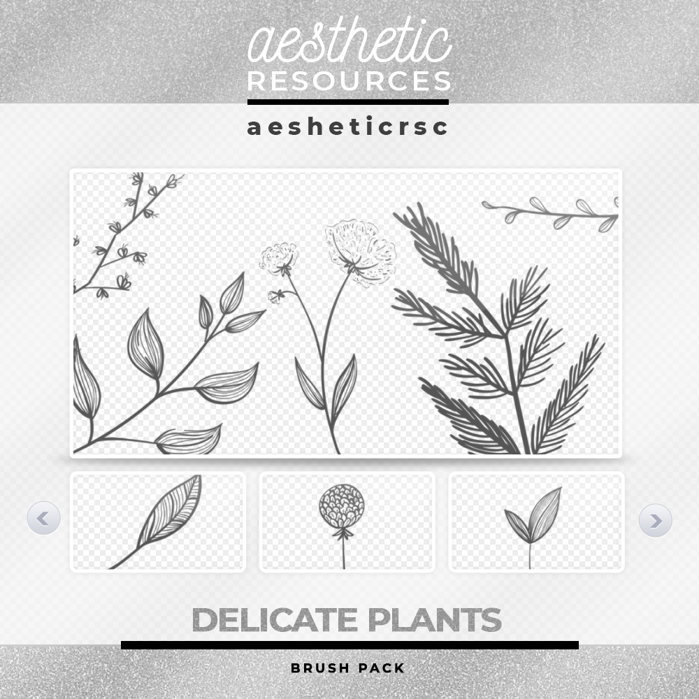 Hand Drawn Plants Brushes by aestheticrsc on DeviantArt