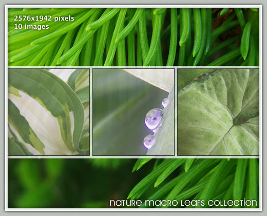 Macro Leafs Collection by faciststock on DeviantArt