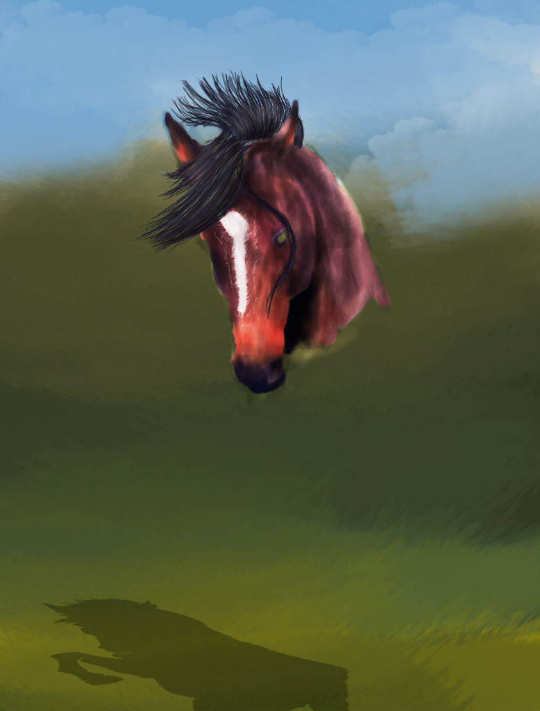 Wild Bay by horsehaven95 on DeviantArt