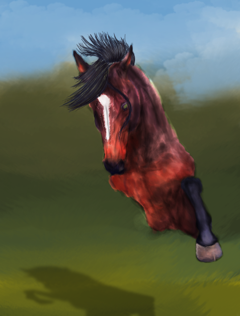 Wild Bay by horsehaven95 on DeviantArt