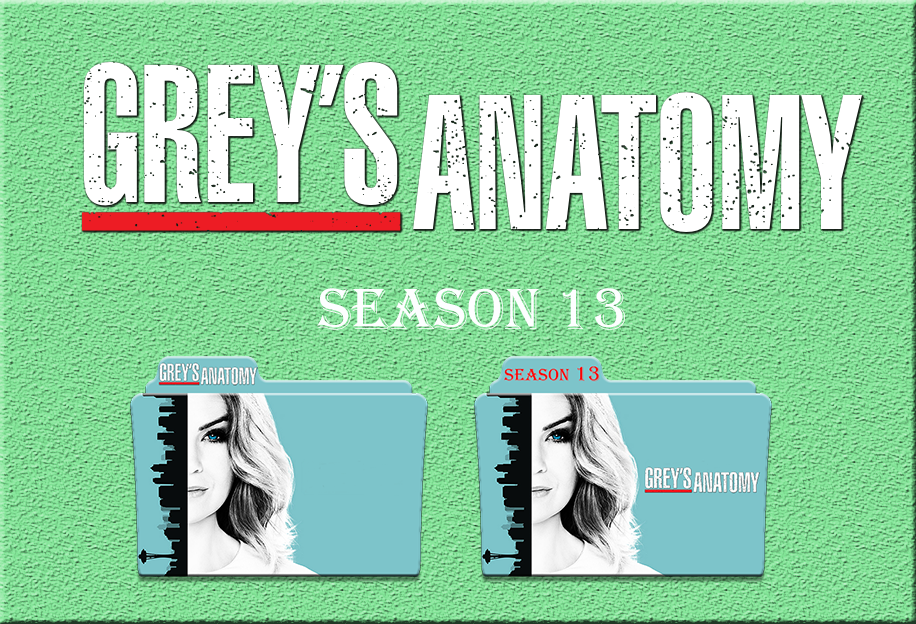 Grey's Anatomy Season 13 Icons by Aliciax16 on DeviantArt Grey's Anatomy Season 13 Icons by Aliciax16 on DeviantArt