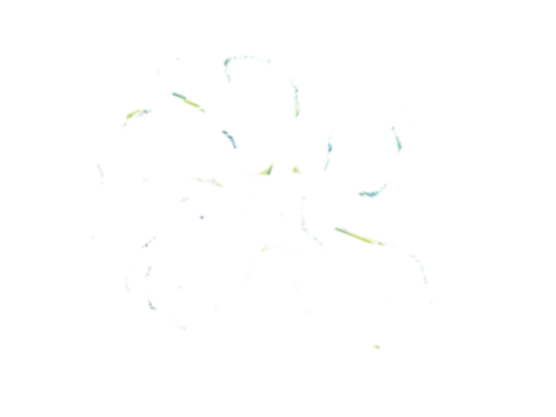 TFSC Flower 9 by shenson202 on DeviantArt