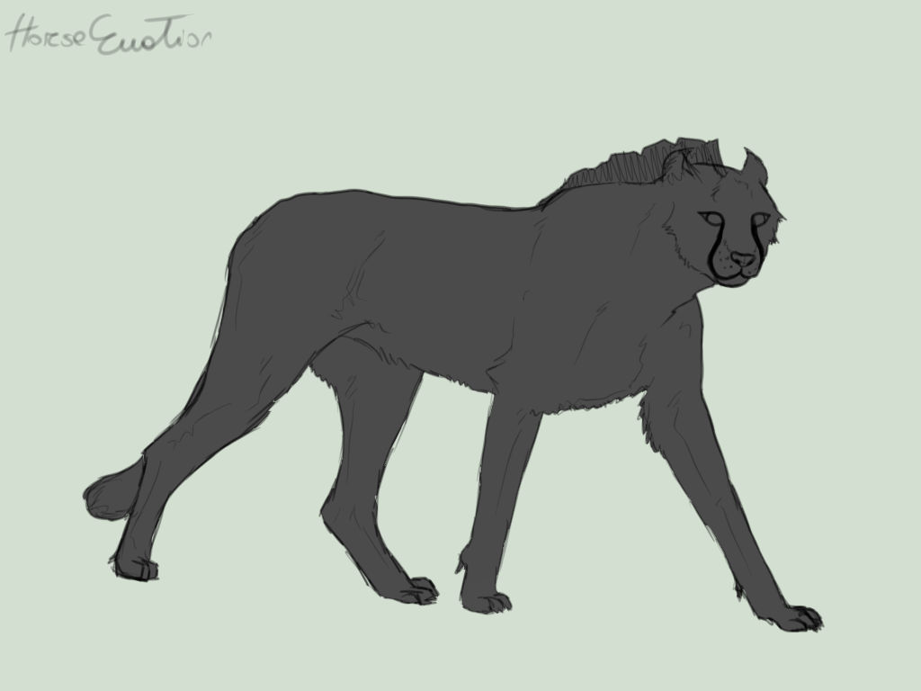 Shedu Cat Buyable Lineart by Horse-Emotion on DeviantArt