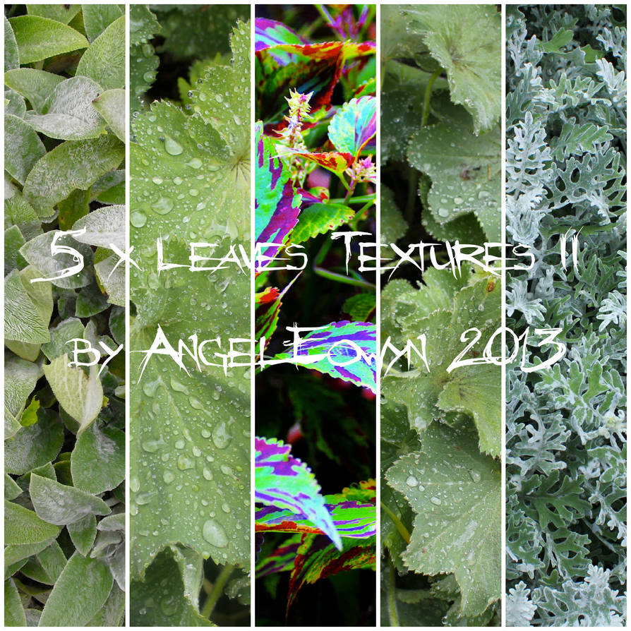 Leaves Texture Pack 2 by AngelEowyn on DeviantArt