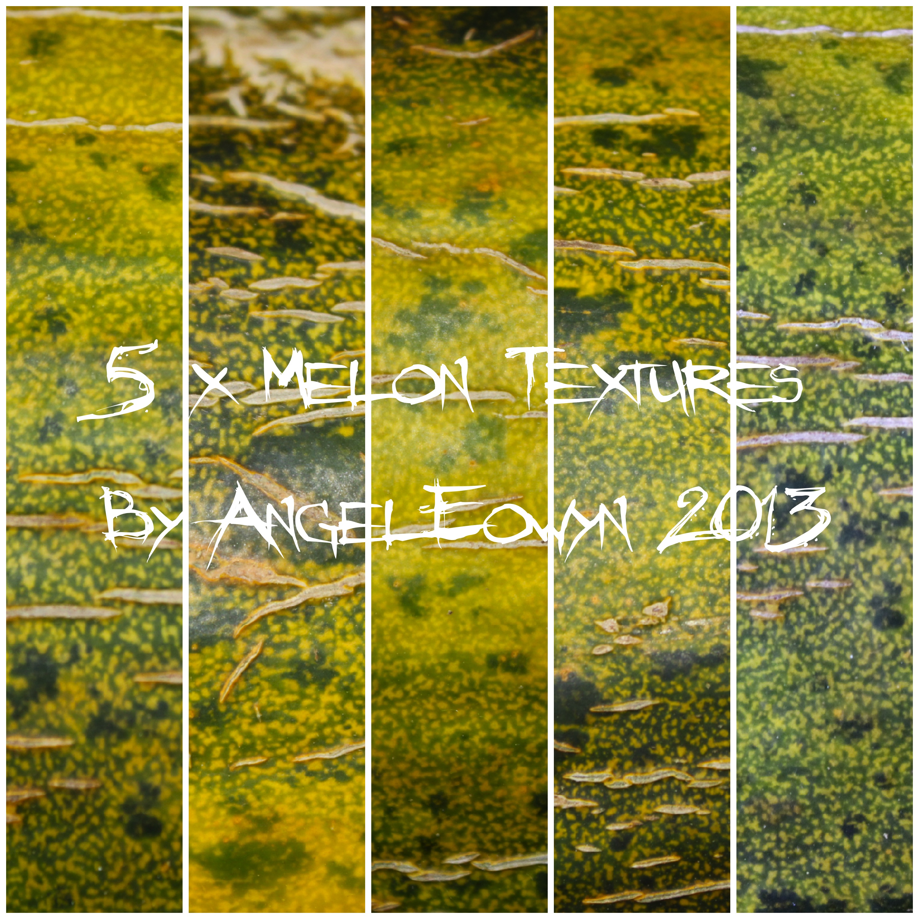 Melon Skin Texture Pack by AngelEowyn on DeviantArt