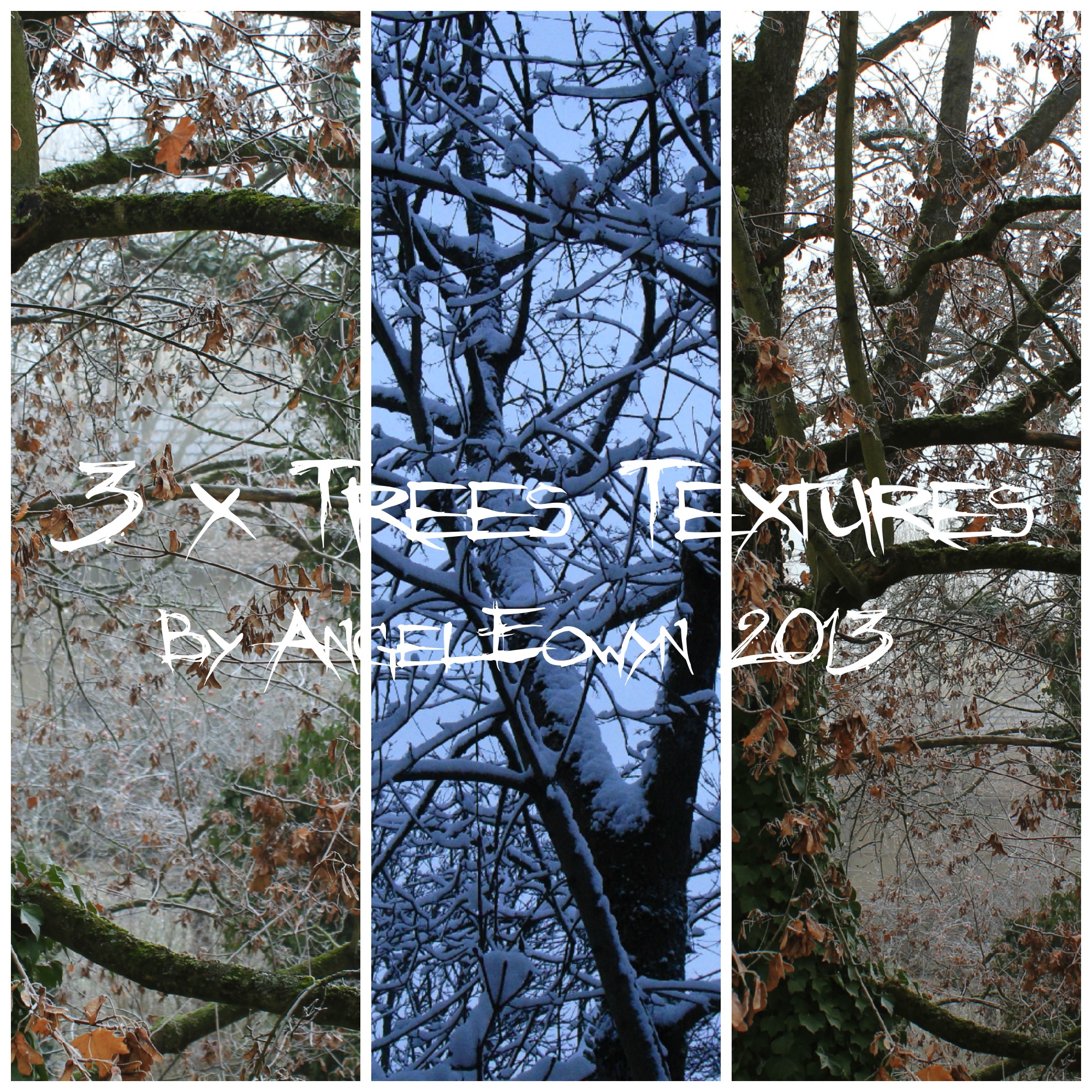 Trees Texture Pack by AngelEowyn on DeviantArt