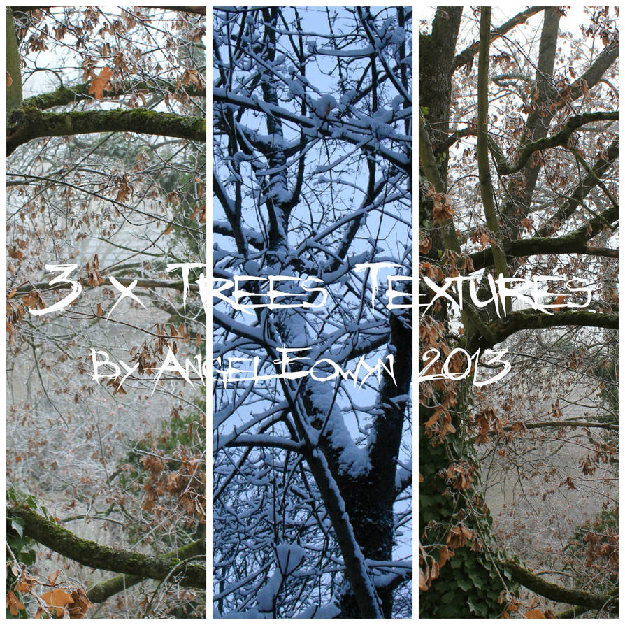 Trees Texture Pack by AngelEowyn on DeviantArt