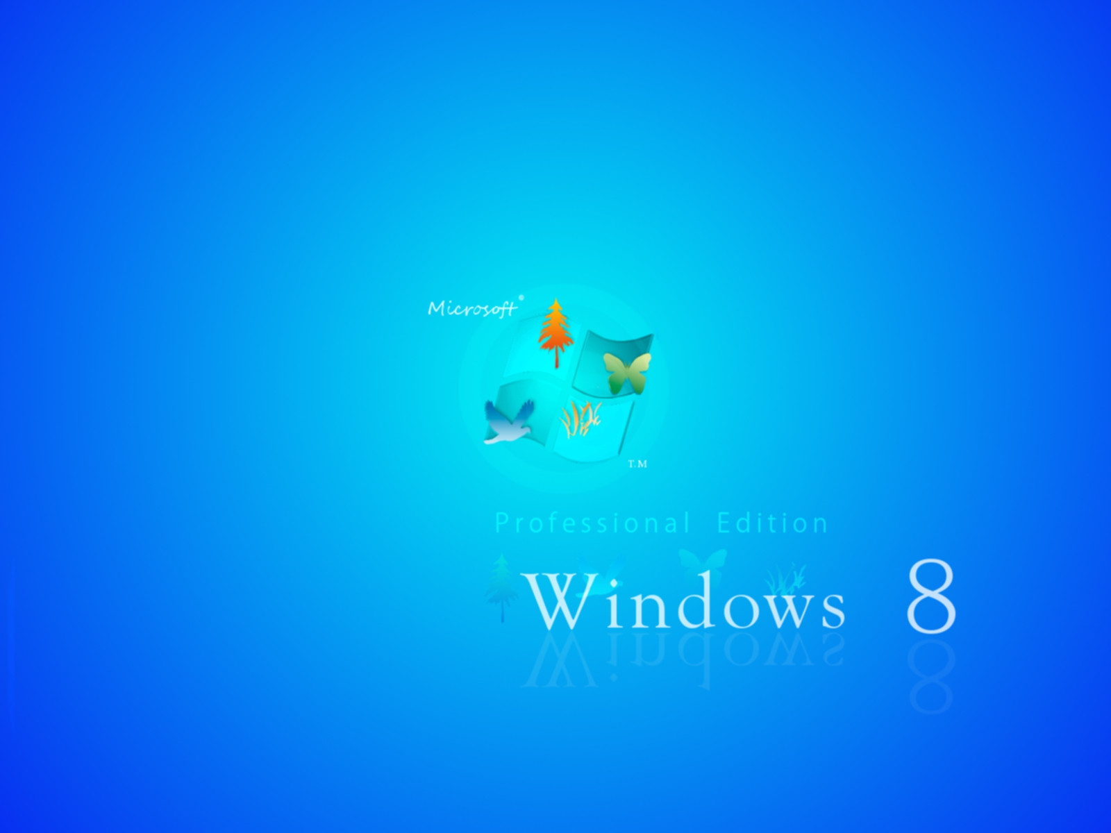 Windows 8 Screensaver