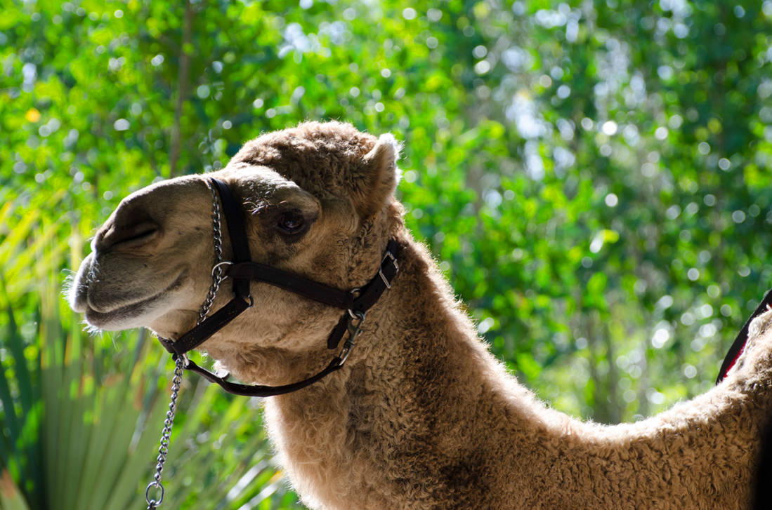 Mike Mike Mike! Guess what day it is?! by Focus-Fire on DeviantArt