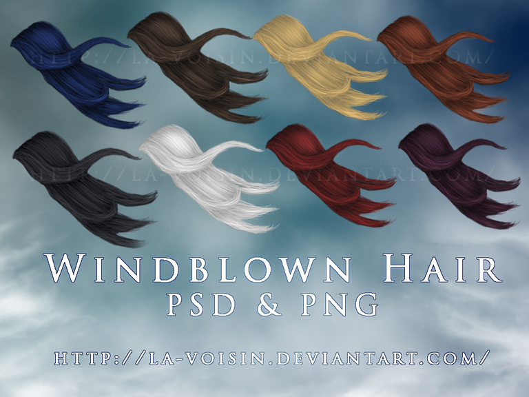 Windblown Hair PSD and PNG by la-voisin on DeviantArt