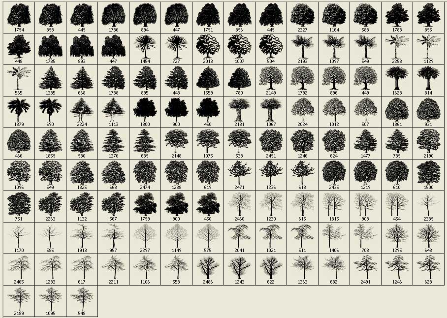 frsh-shejer by rakanksa on DeviantArt