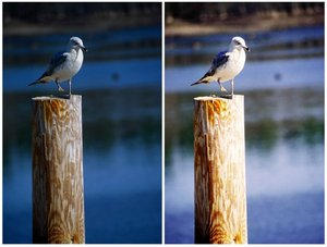 Photoshop Actions by rakanksa on DeviantArt